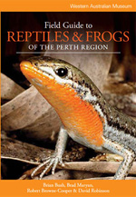 Brian Bush's Homepage