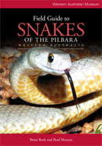 Brian Bush's Homepage